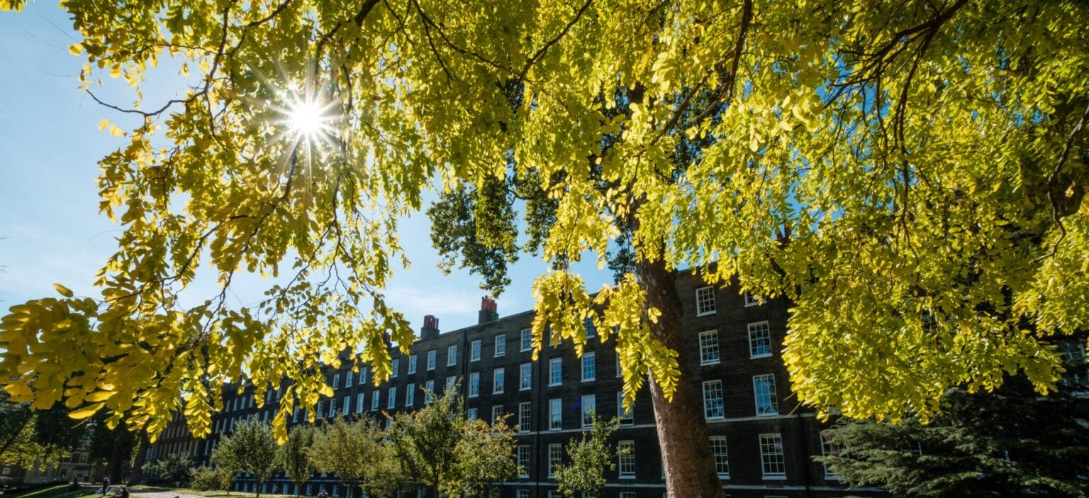 What we offer | Monckton Chambers